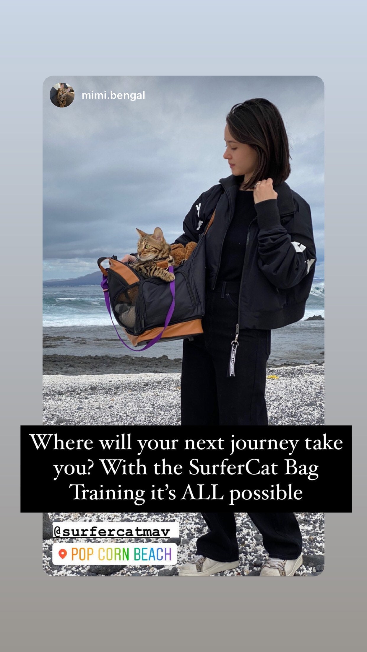 Complete Starter Kit | Etsy