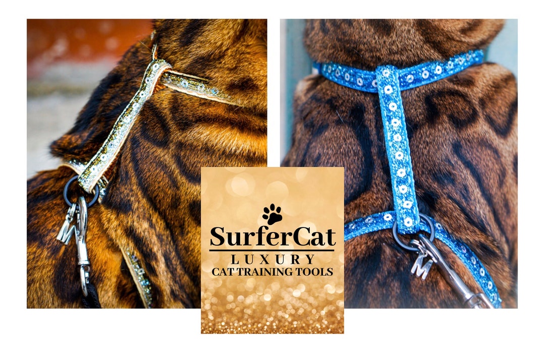 Cat Harness ESCAPE PROOF Luxury Collection - Etsy