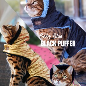 Cat Jacket Hideaway Hoodie Coat - Etsy