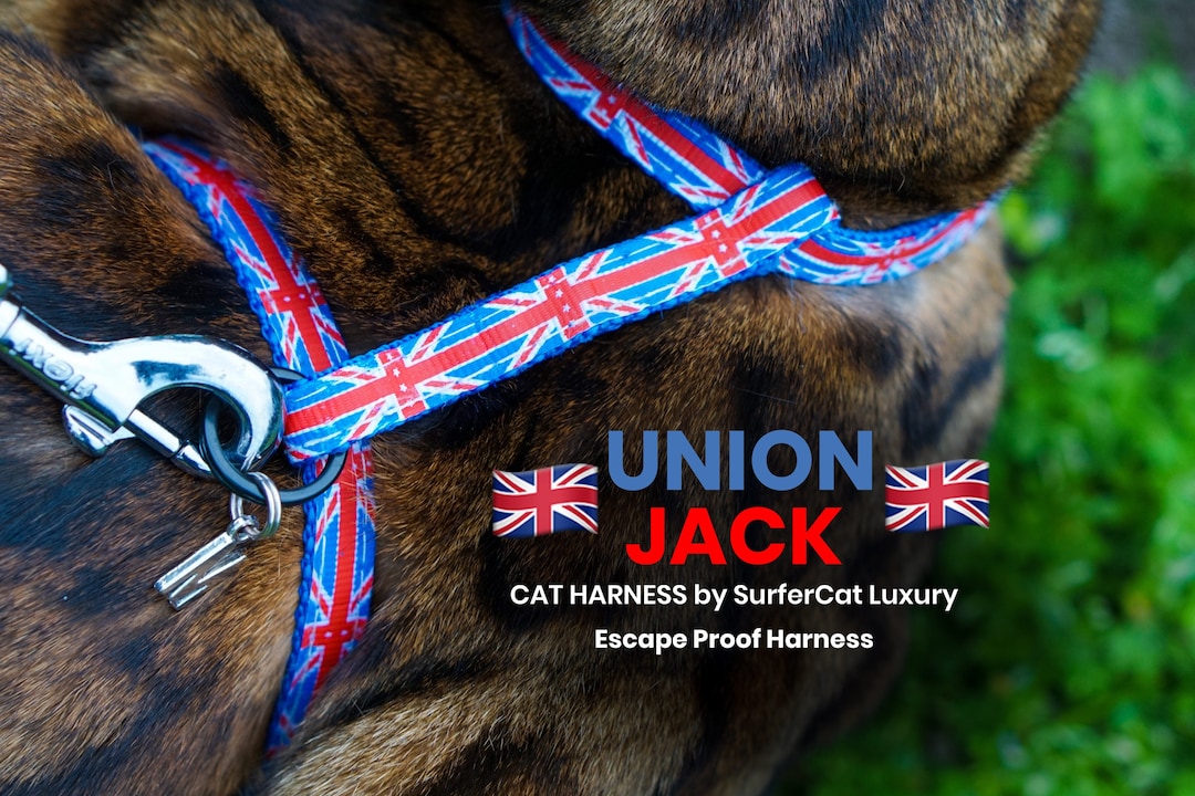 Escape Proof Cat Harness Union Jack UK England Flag Theme - Etsy