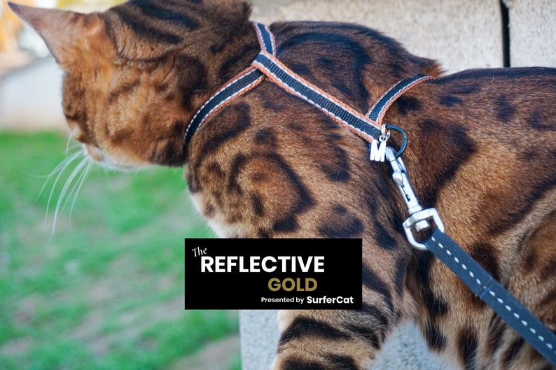 Reflective Escape Proof Cat Harness | Etsy