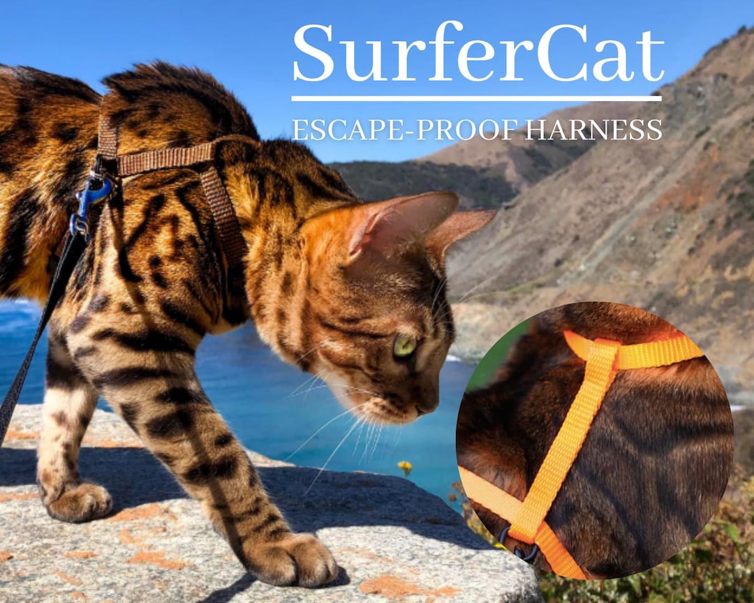 Harness (escape Proof) - Etsy