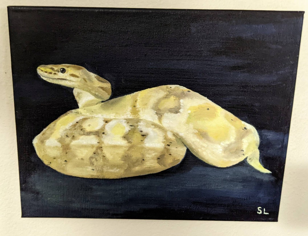 Banana Ball Python Original 11x14 Oil Painting by Shannon Long - Etsy