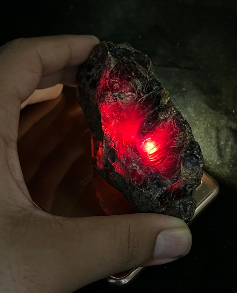 Insect Amber Crystals | Natural Amber Rough | AAA Transparency for ...