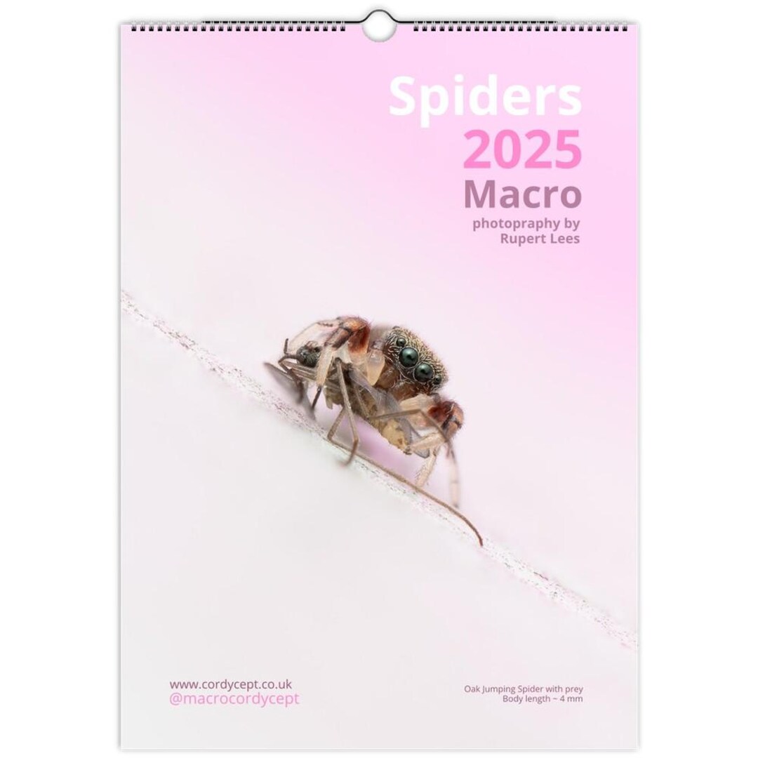 Spiders 2025 Macro Calendar A3 - Etsy