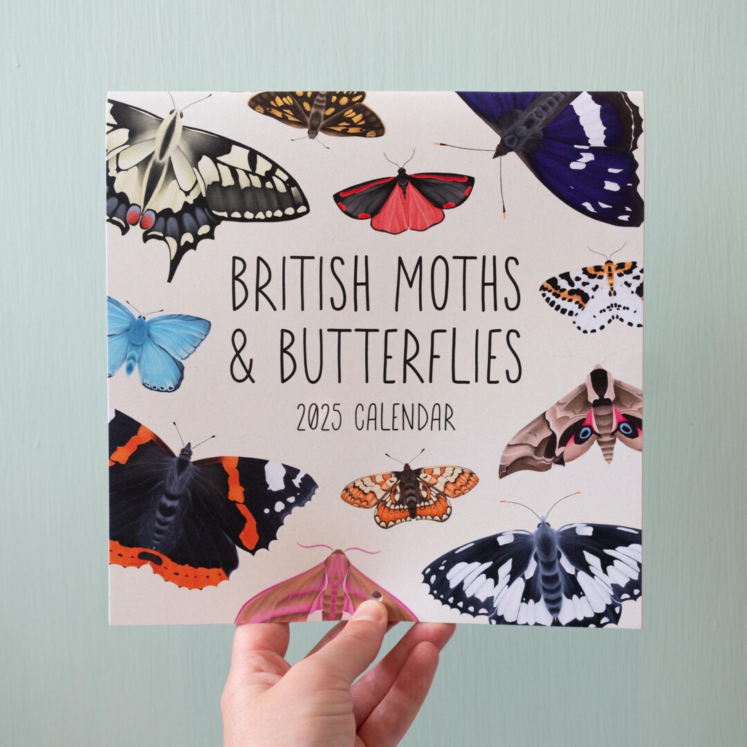 2025 Butterflies & Moths Wildlife Calendar, 2025 Planner, Nature ...