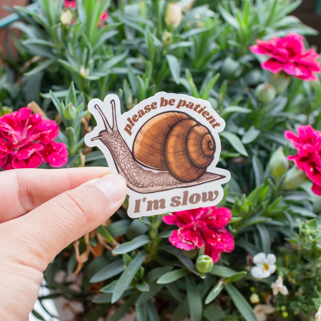 Snail please Have Patience, I'm Slow Transparent Sticker Neurodivergent ...