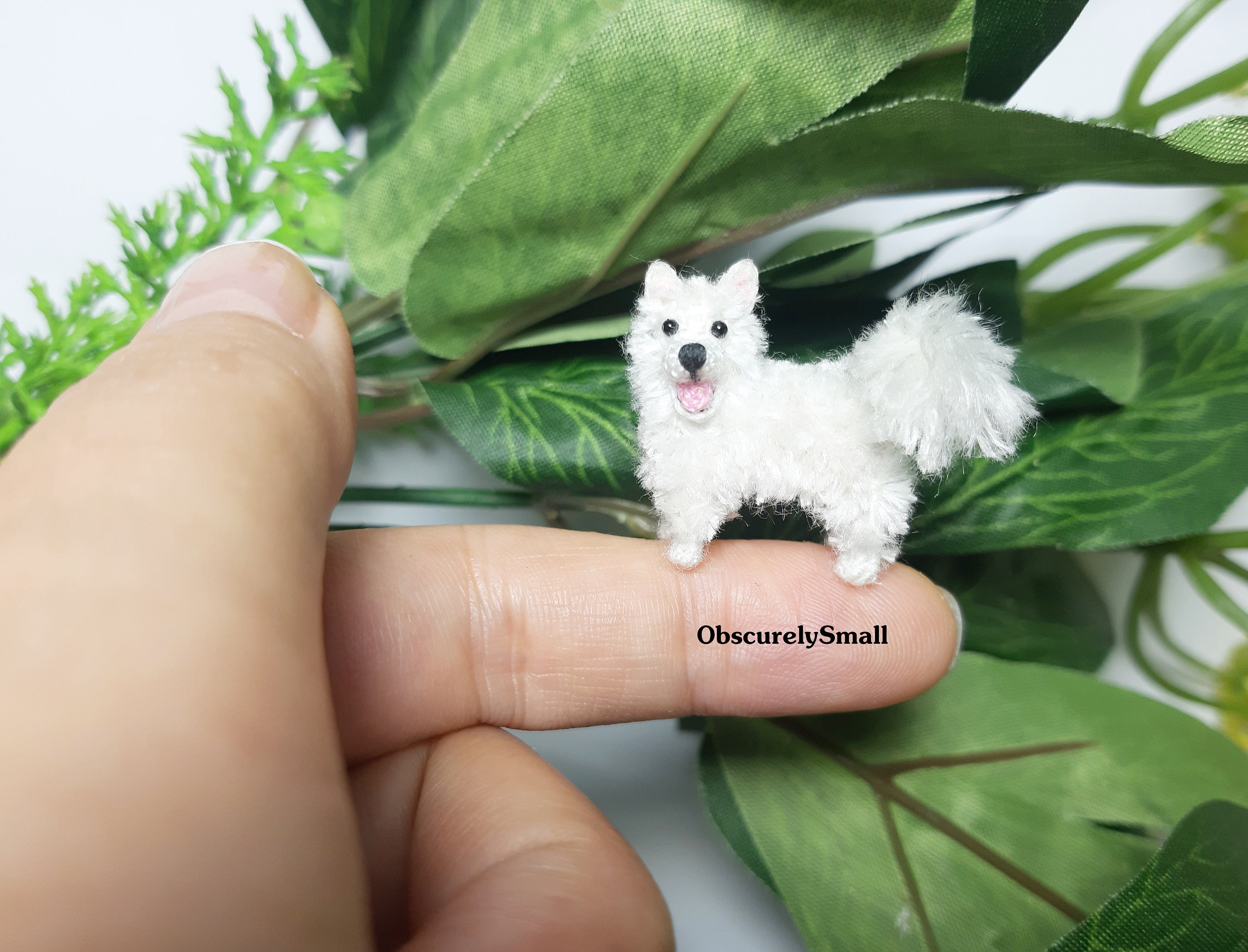 Miniature Samoyed Puppies