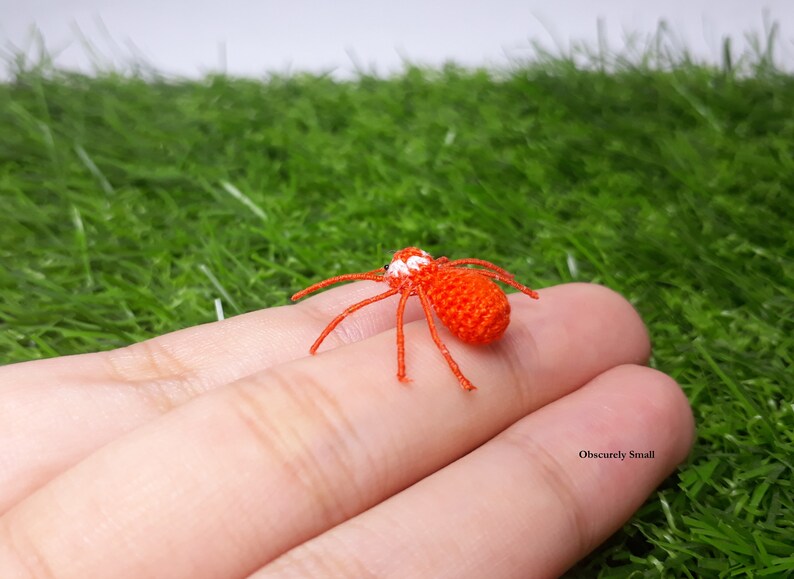 Mini Crochet Spider Pattern Amigurumi Spider Pattern PDF | Etsy