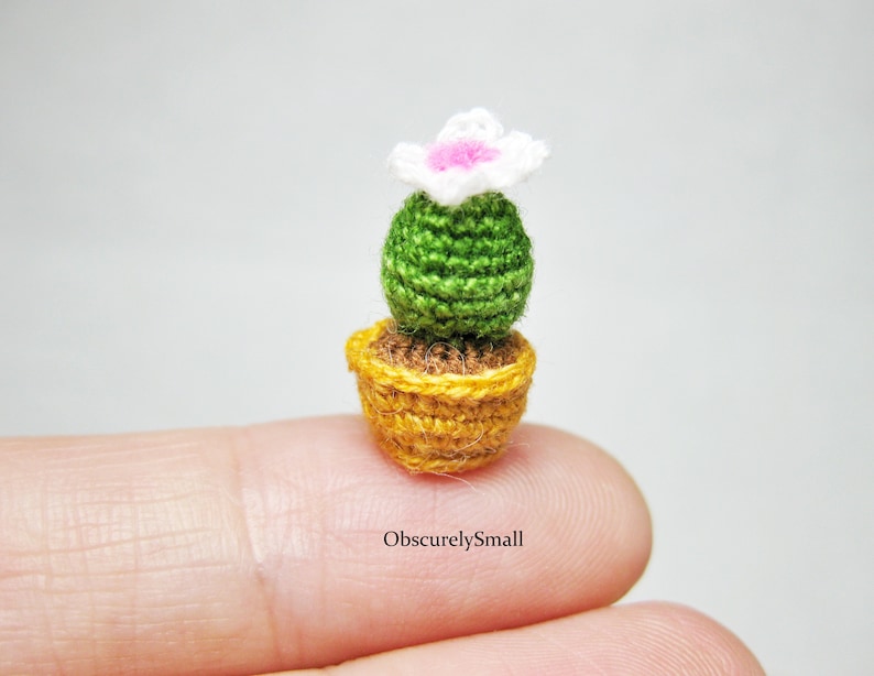 Tiny Crochet Potted Cactus - Amigurumi Plants - Made to Order - Etsy