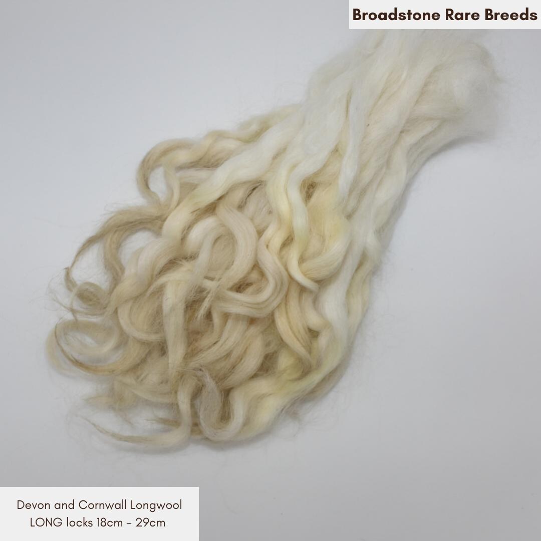 Devon and Cornwall Longwool LONG Locks 50g 18 29cm Long From Holistic Certified Farm - Etsy