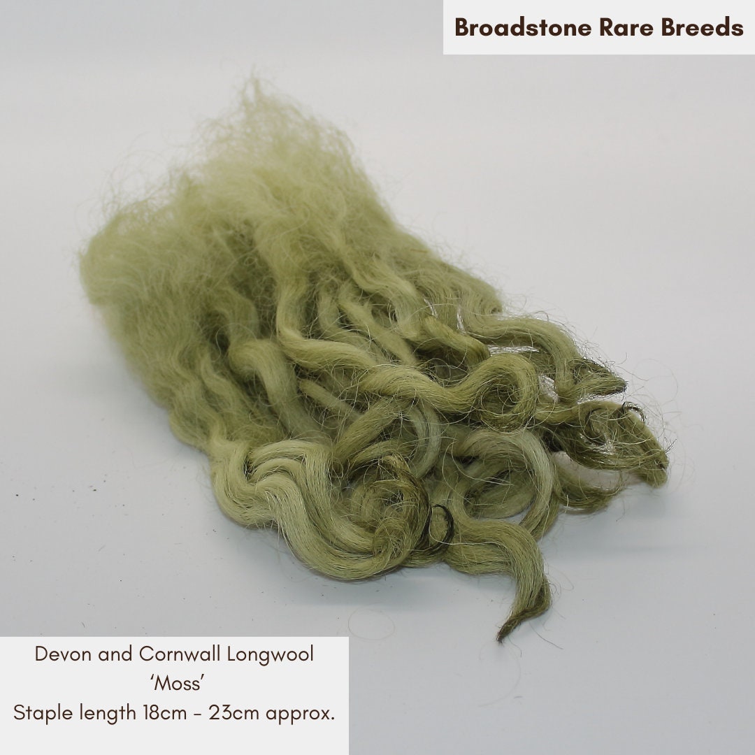 Devon and Cornwall Longwool Long Locks 'moss Green' 50g From Holistic ...
