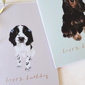 Springer Spaniel Birthday Card Black Sprocker Spaniel Puppy Birthday ...