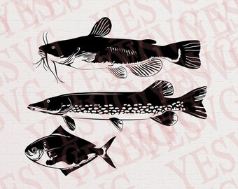 Northern Pike Svg Fishing SVG Pike Svg Fish Svg File PNG - Etsy