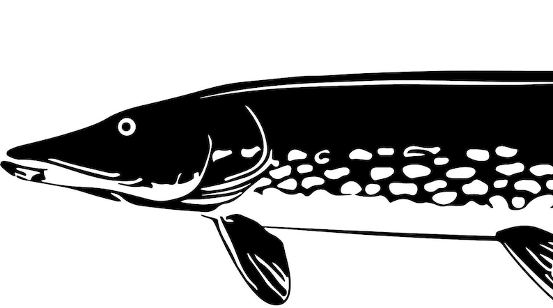 Pike Fish SVG File Pike Fishing Clipart Cut Files for - Etsy