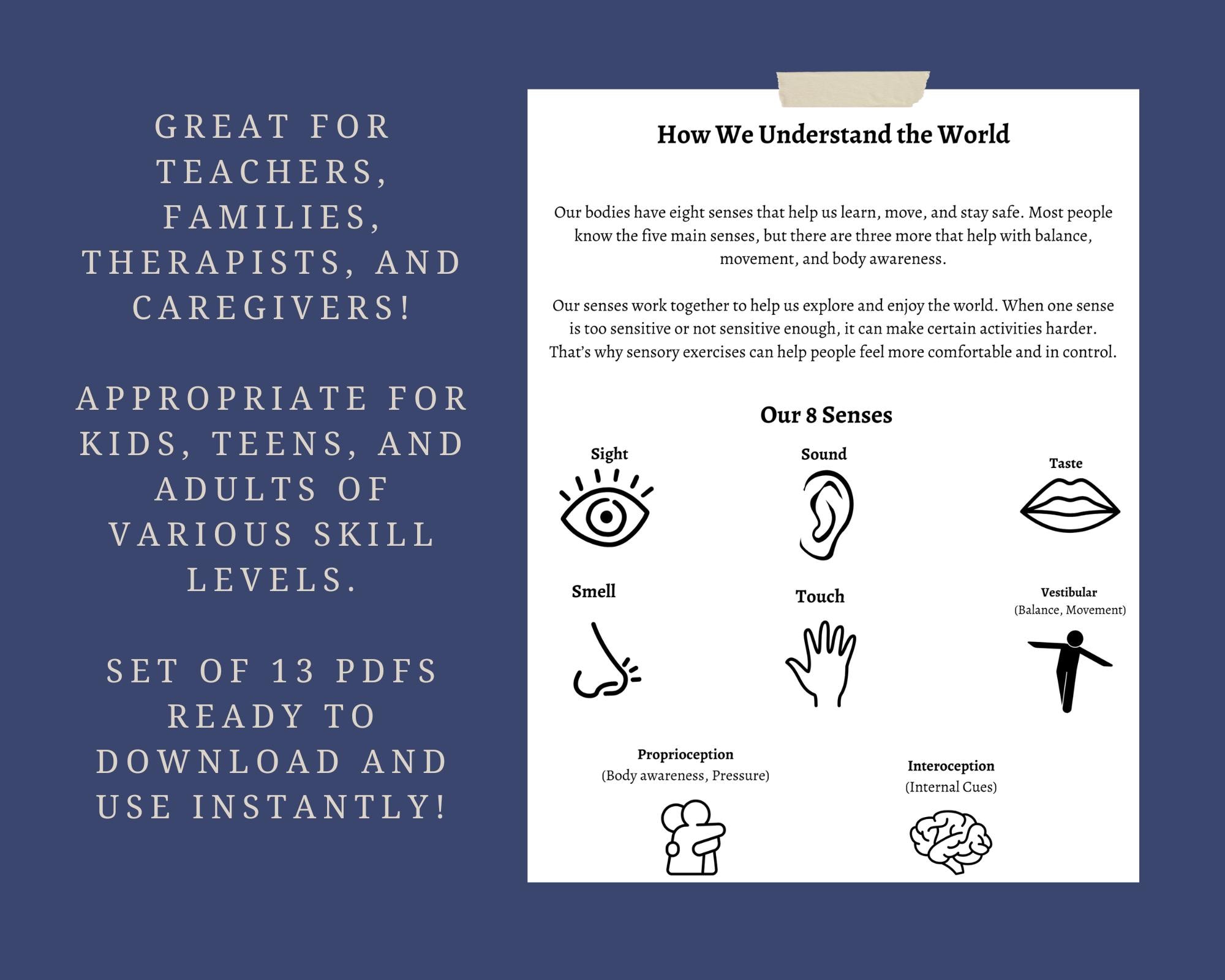 Regulation Supports, Sensory Supports for Kids, Regulation Activities ...