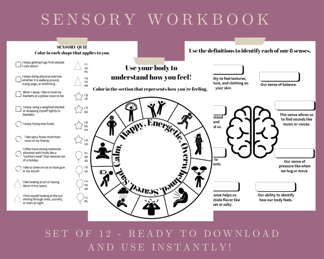 Sensory Regulation Handouts, Neuroffirming, Sensory Systems, Sensory ...