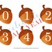 Printable Acorn Alphabet Set - Etsy