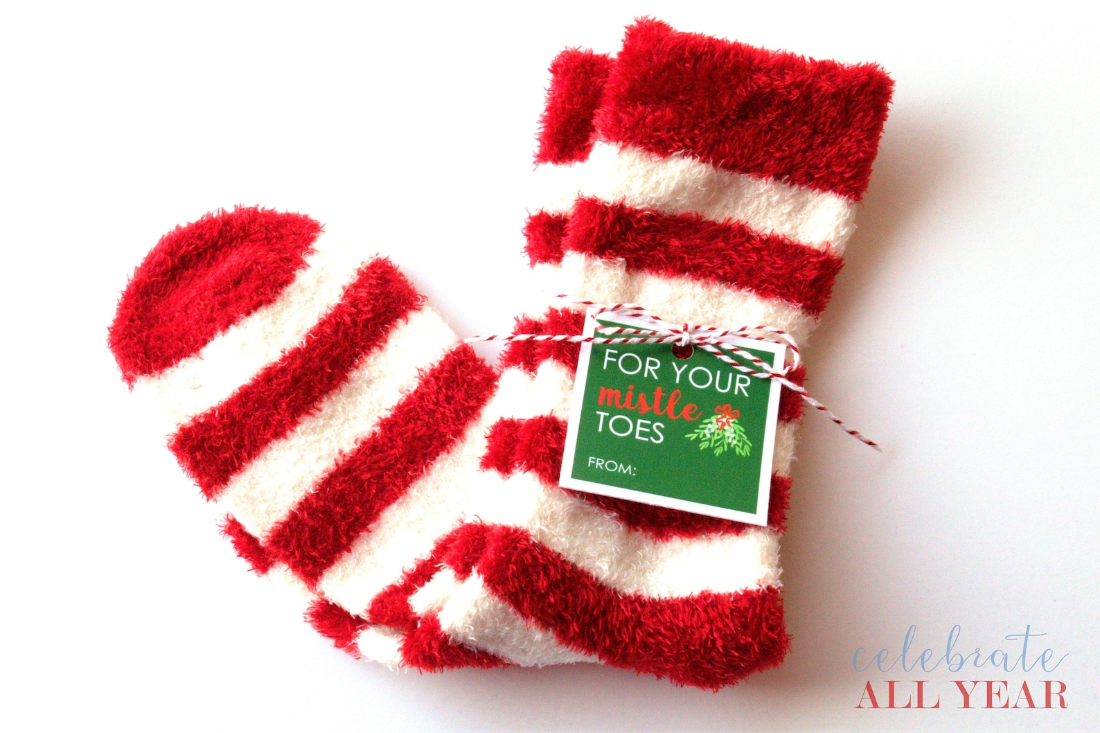 Mistle-toes Gift Tags - Etsy