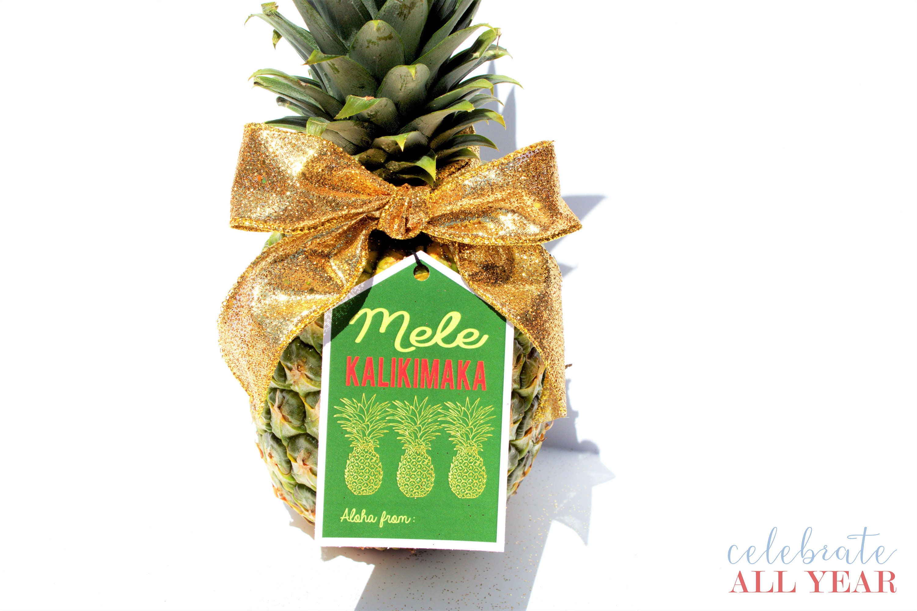Hawaiian Christmas Printable Gift Tags - Etsy