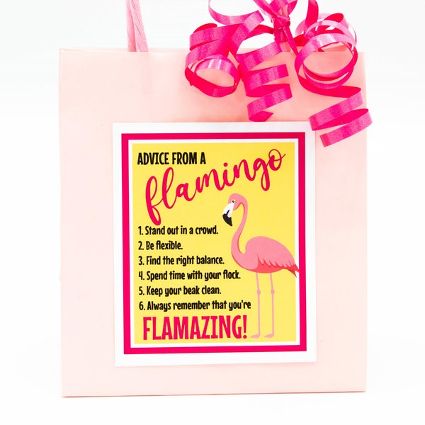 Flamingo Gift - Etsy