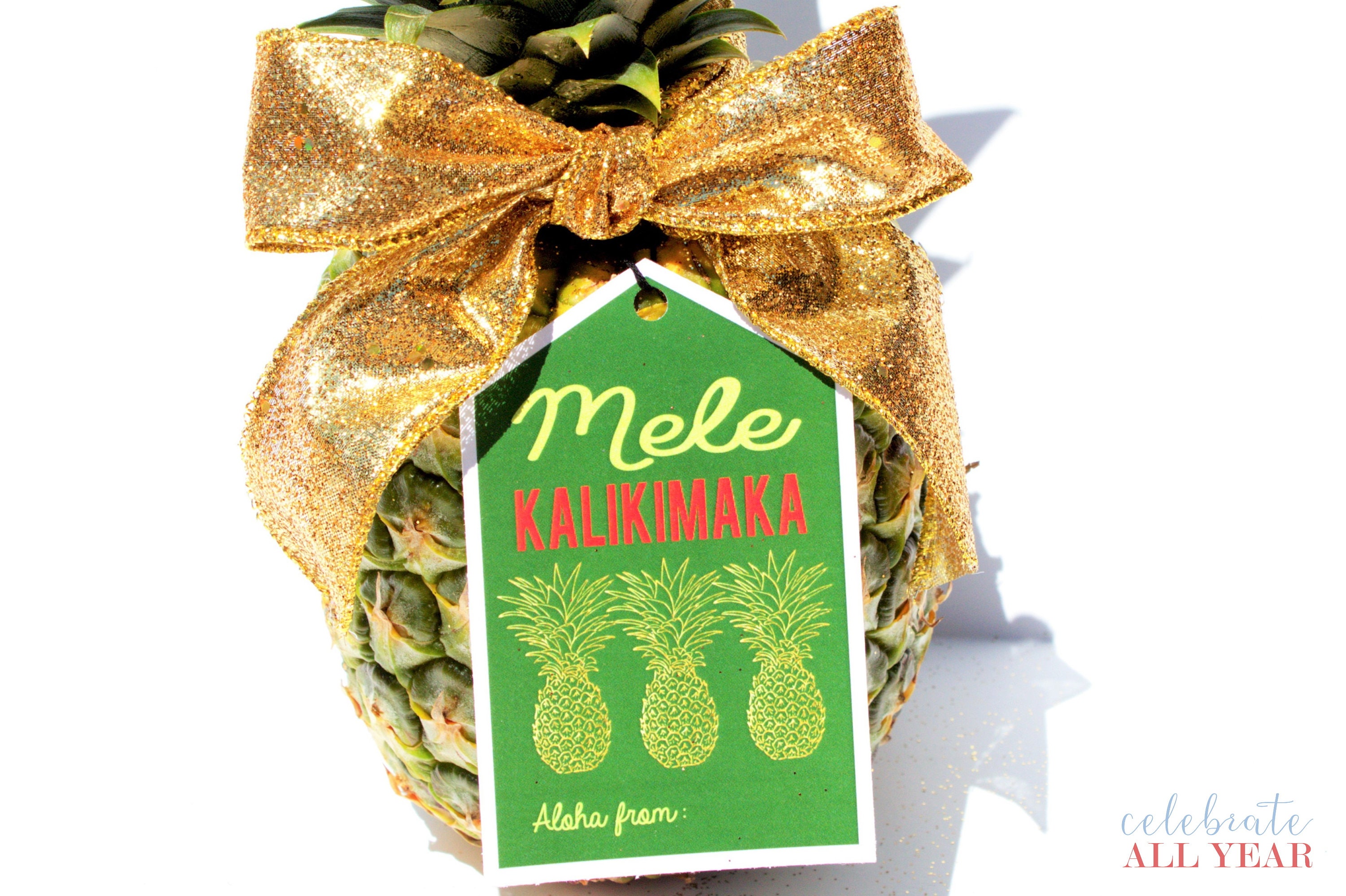 Hawaiian Christmas Printable Gift Tags - Etsy