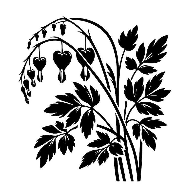 Bleeding Heart SVG Vector Dxf Png Jpg Laser Silhouette Unique Bleeding ...