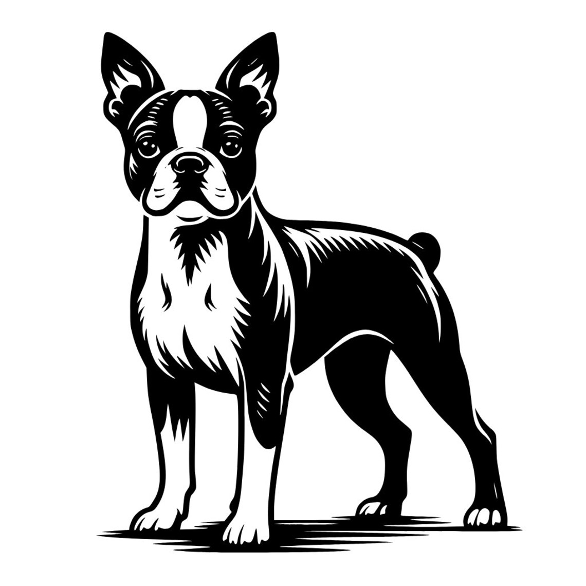 Boston Terrier SVG Vector Dxf Png Jpg Laser Screen Silhouette Unique ...