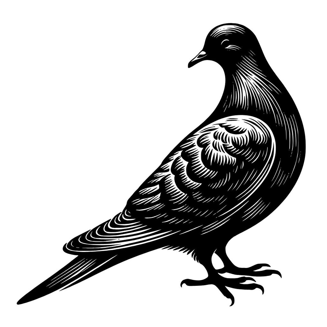 Mourning Dove SVG Vector Dxf Png Jpg Laser Screen Silhouette Unique ...