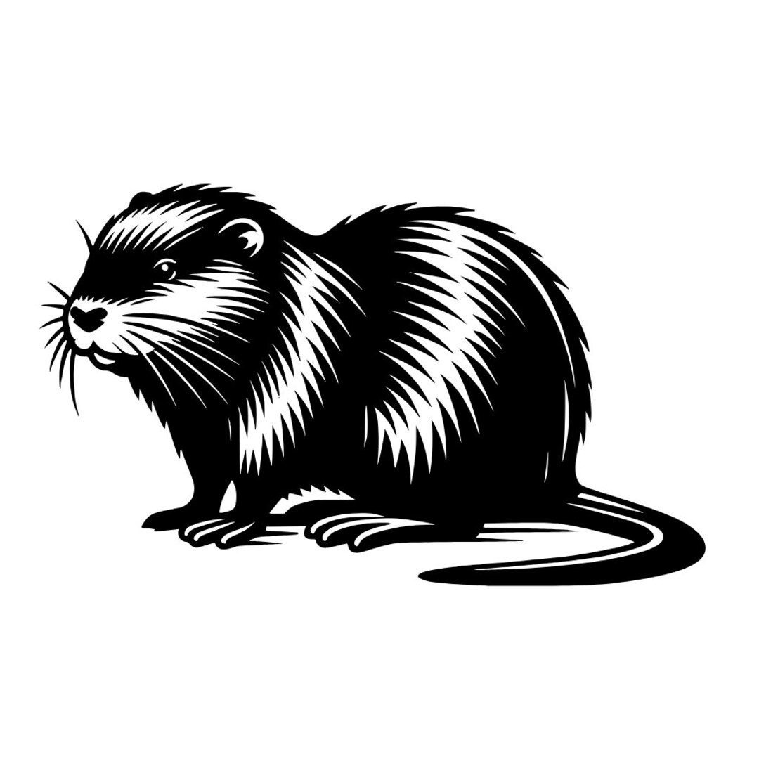 Muskrat SVG Vector Dxf Png Jpg Laser Screen Silhouette Unique Muskrat ...