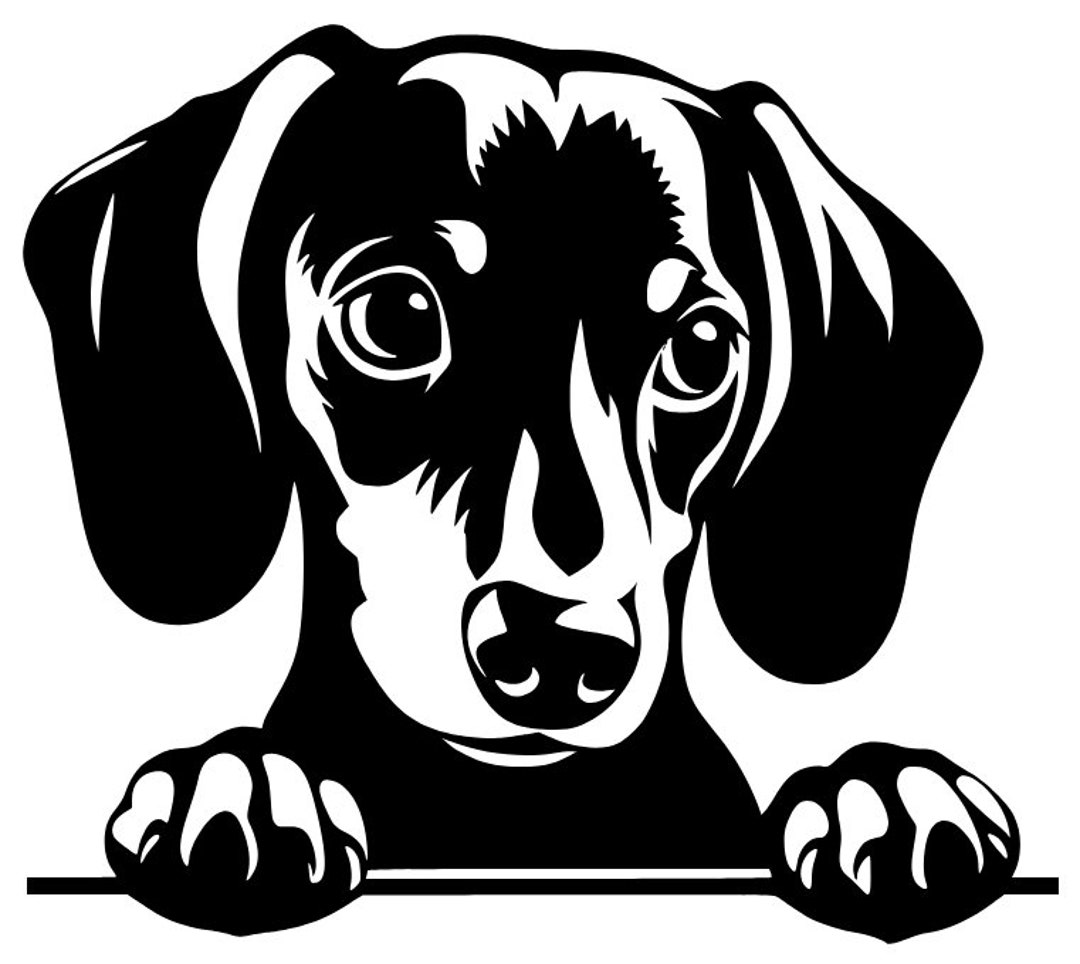 Dachshund SVG Vector Dxf Png Jpg Laser Screen Silhouette Unique ...