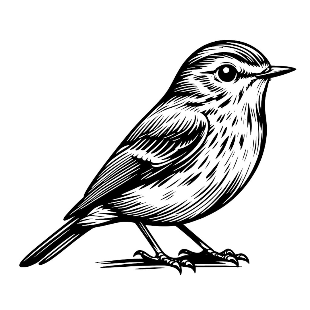 Songbird SVG Vector Dxf Png Jpg Laser Silhouette Unique Songbird Design ...