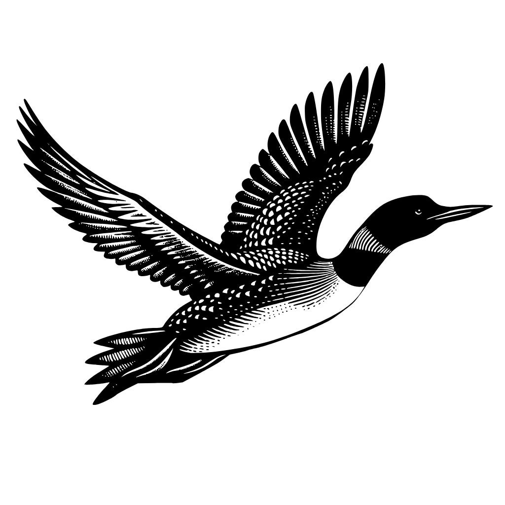 Loon SVG Vector Dxf Png Jpg Laser Screen Silhouette Unique Loon Design ...
