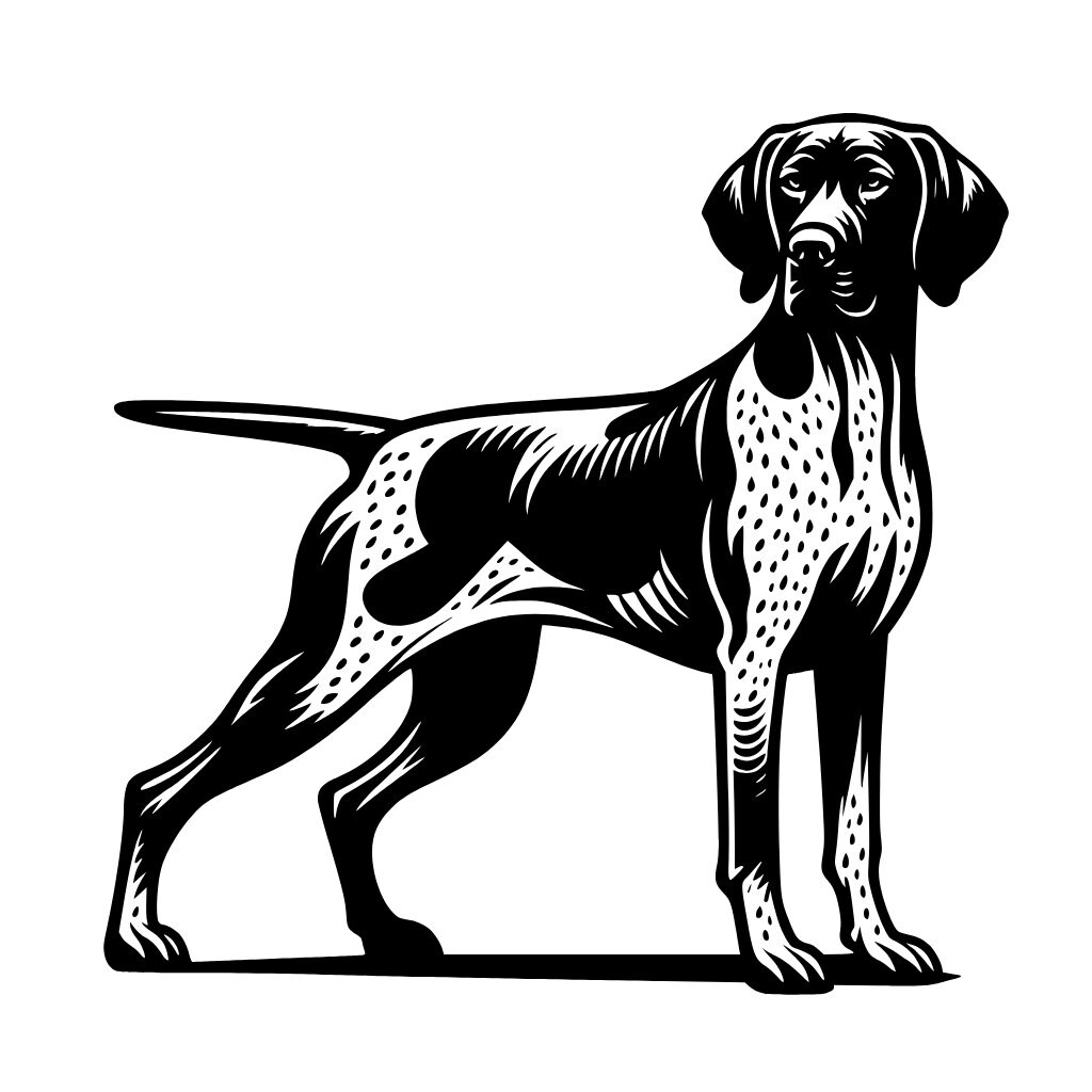 German Shorthaired Pointer SVG Vector Dxf Png Jpg Laser Screen ...