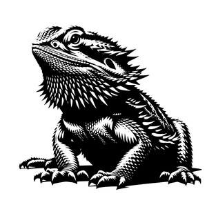 Bearded Dragon - Etsy