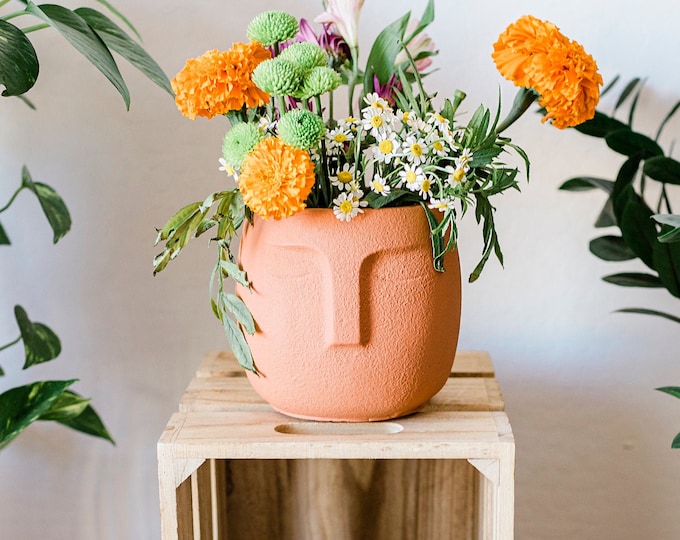 Large Face Planter With Drainage, Plant Pot, Pots for Plants, Unique ...