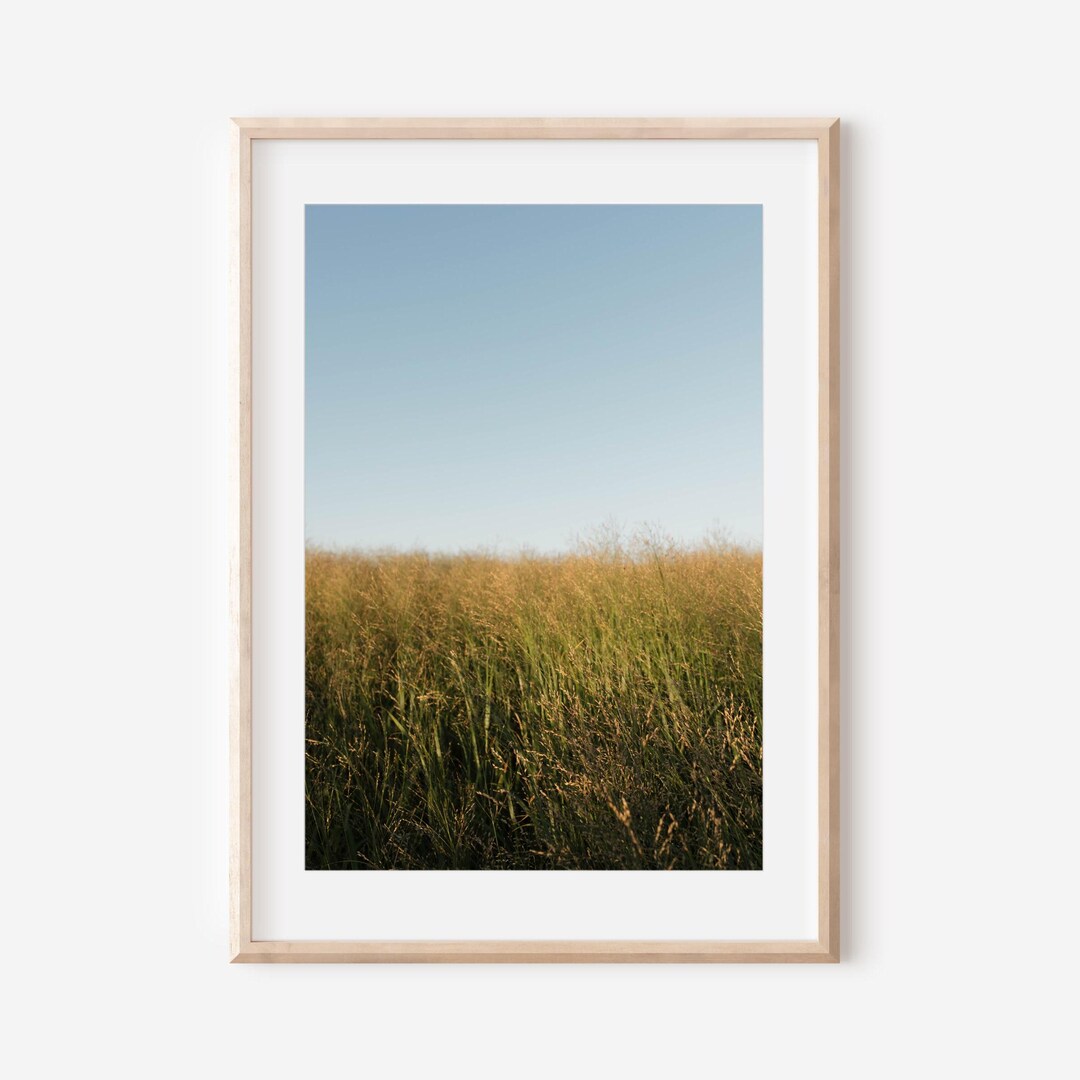 Nantucket Photography Print – Sconset Bluff Walk Meadow at Golden Hour ...