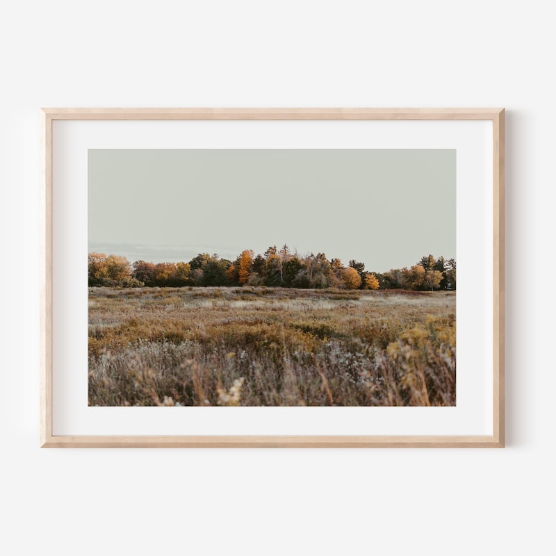 Bar harbor in the fall - Etsy.de