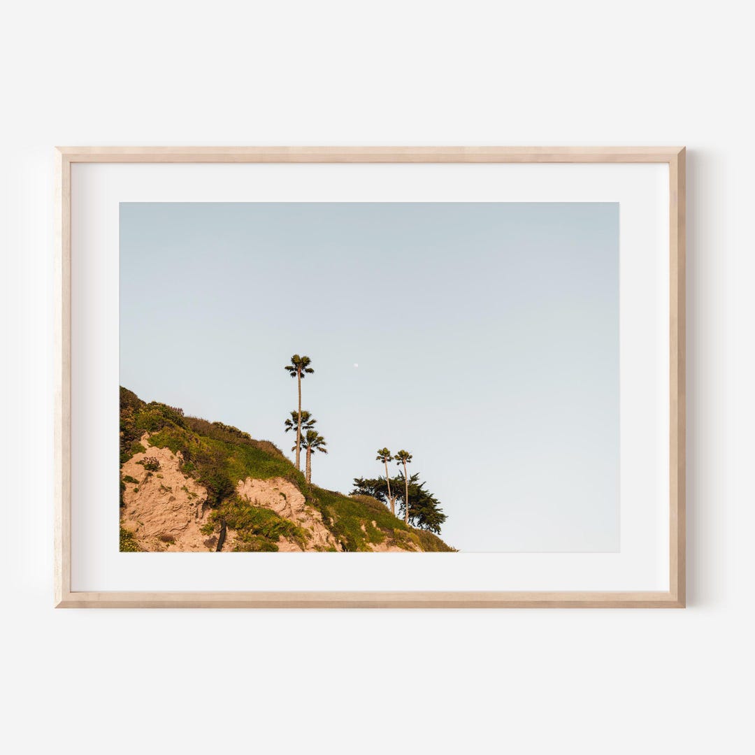 Palm Tree Photography – Malibu Point Dume Wall Art, Coastal California ...