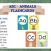 Animal Alphabet Flash Cards Preschool Learning Cards | Animal Alphabet ...