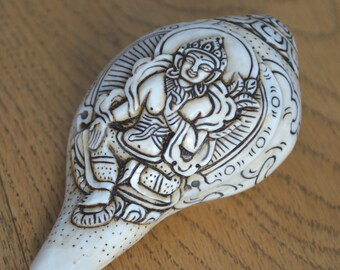 Nepal Conch Shell | Etsy