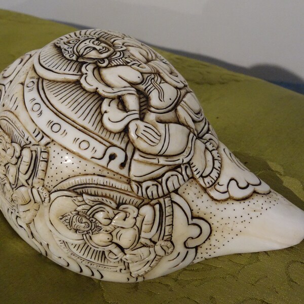 Nepal Conch Shell - Etsy