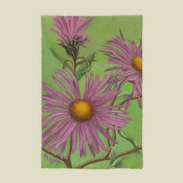 Aster Flower Painting - Etsy