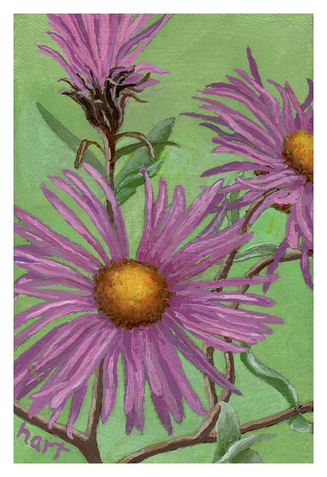 Purple Aster Flower Print, Floral Wall Art, Artwork for Small Space ...
