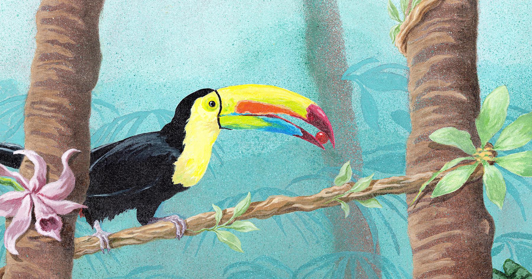 Toucan Print of Jungle Scene-lots of Flowers- Colorful Wall Decor of ...
