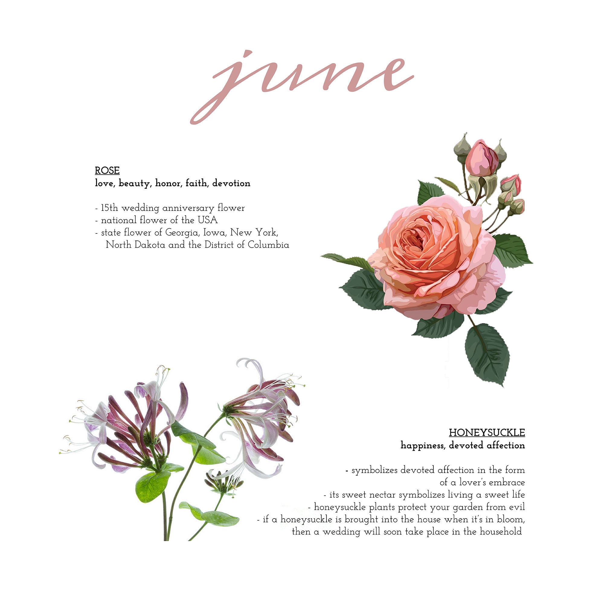 National Flower Month