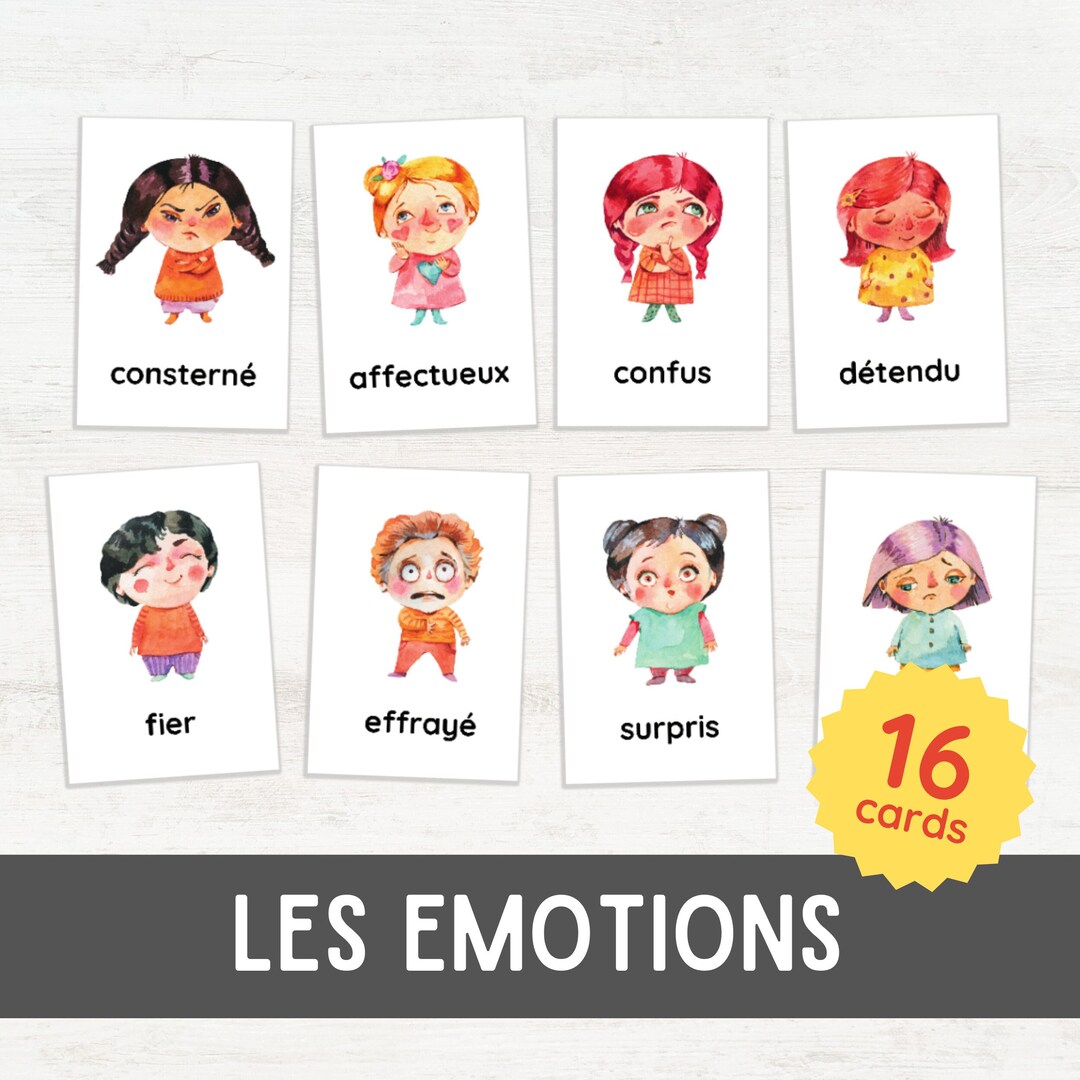 16 LES EMOTIONS French Flashcards Montessori Cards, Homeschool ...