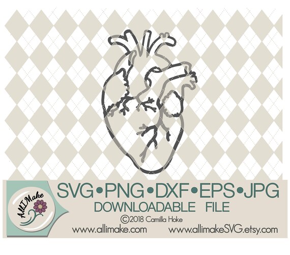 Archivo SVG / Corazón anatómico svg dxf eps png jpg - Etsy México