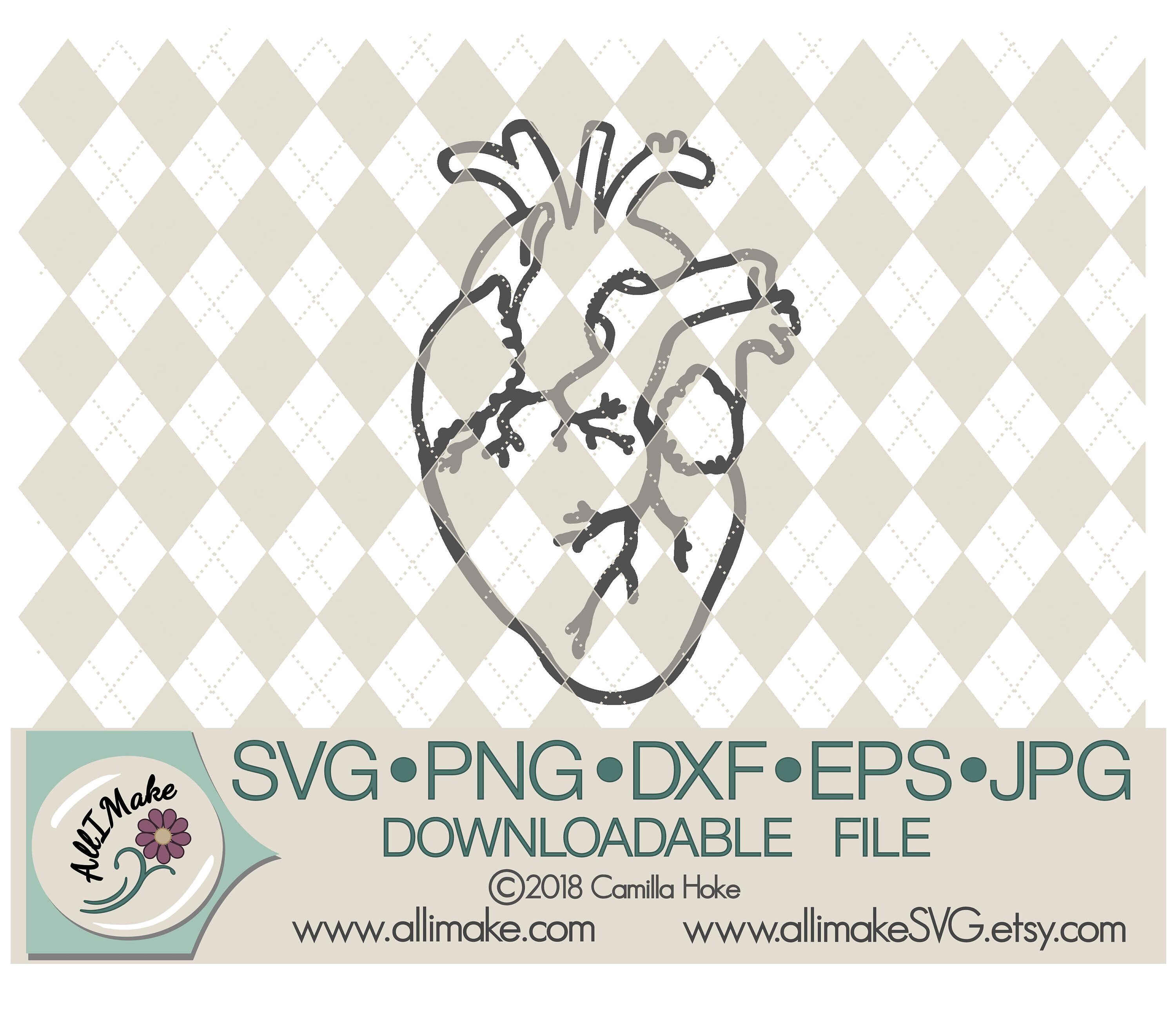 SVG File Anatomical Heart svg dxf eps png jpg files for | Etsy