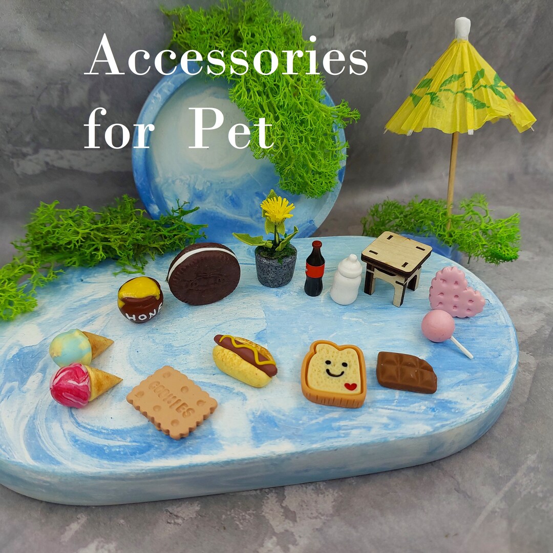 Accessories for Pet Sweets and Food for Pet - Etsy